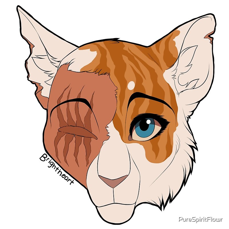 "Brightheart Warrior Cats" by PureSpiritFlowr | Redbubble