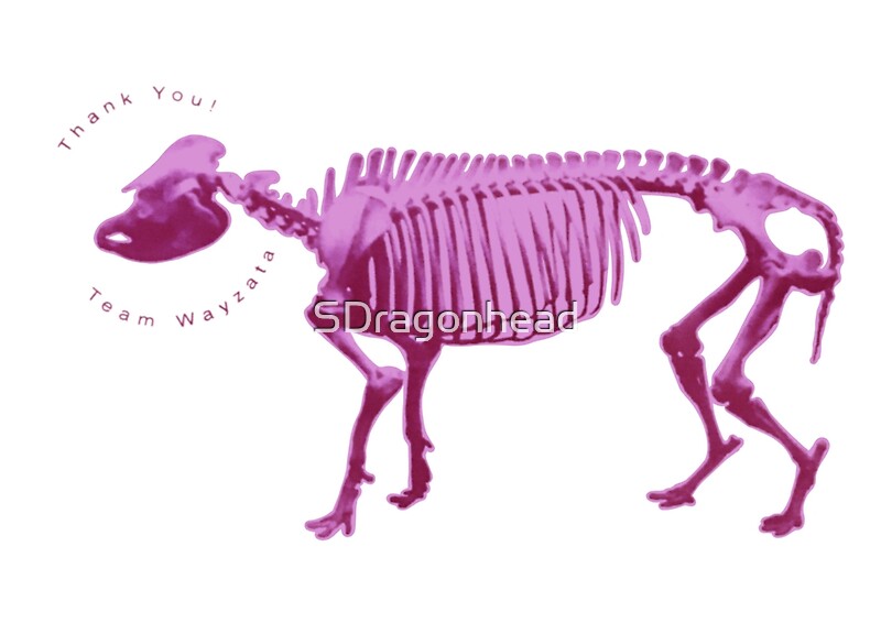 "Secret Skeleton - The Museum Of Anything Goes " by SDragonhead | Redbubble