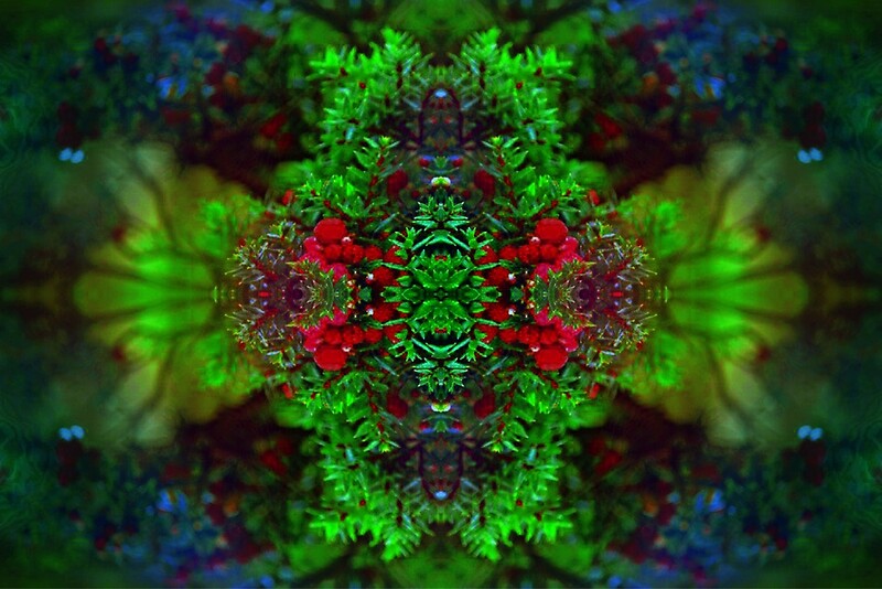 "Berry Dream" by HeartActivation | Redbubble