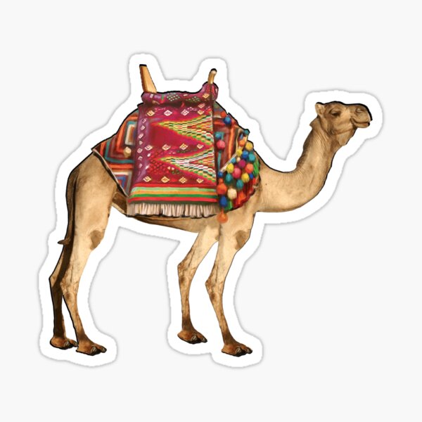 Camel Stickers | Redbubble
