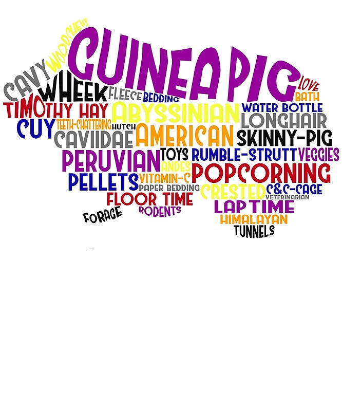 "Guinea Pig Word Cloud" by pigeonboycas | Redbubble