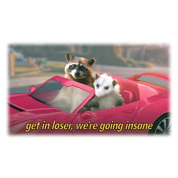 "Get in loser, we're going insane raccoon possum word art - film quote ...