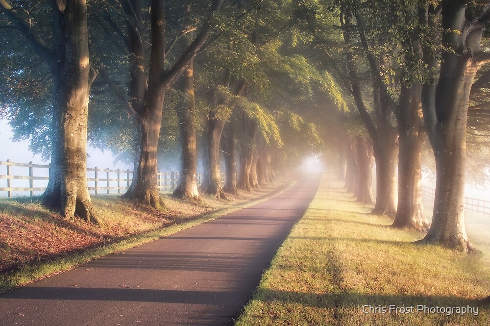 "To The Manor" by Chris Frost Photography | Redbubble