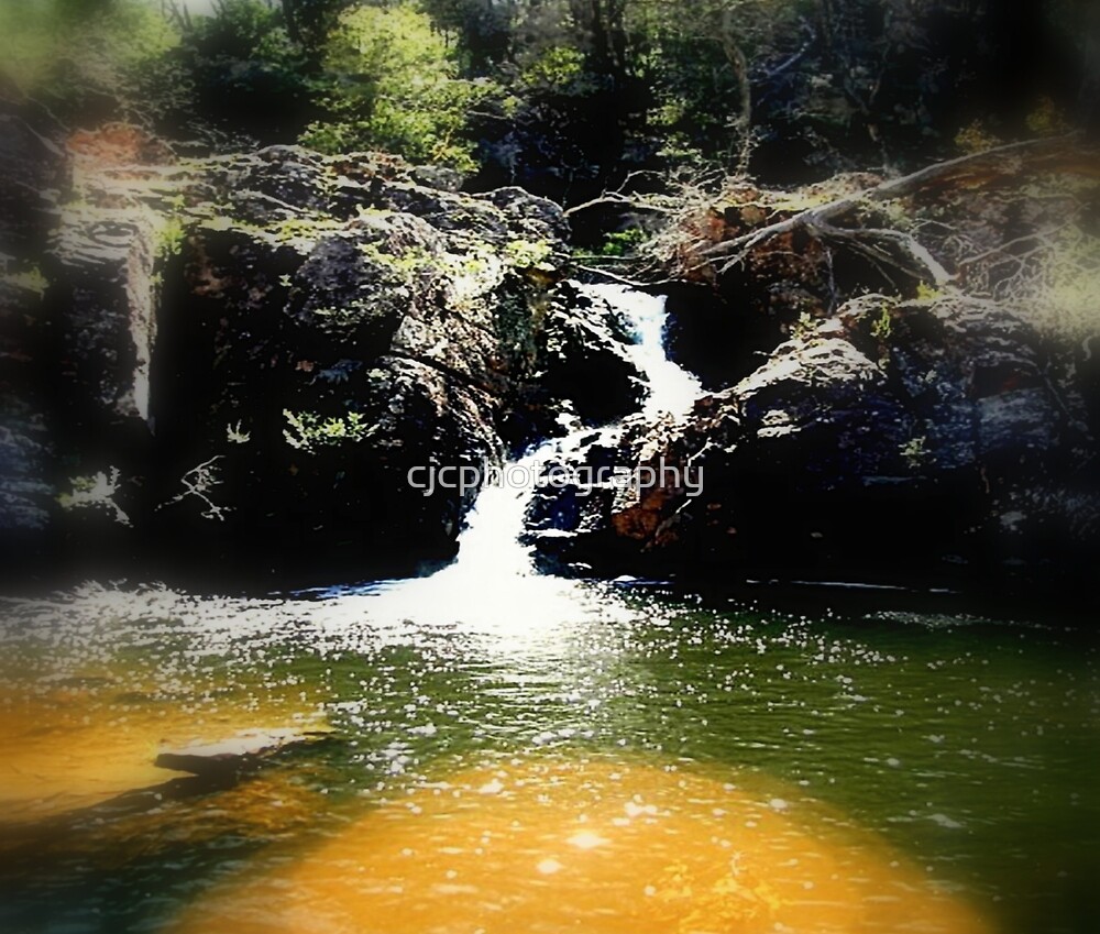 "Shallow Pond " by cjcphotography | Redbubble