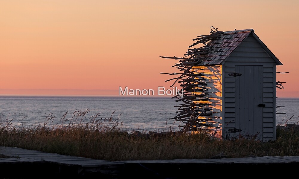 "So weird shed" by Manon Boily | Redbubble