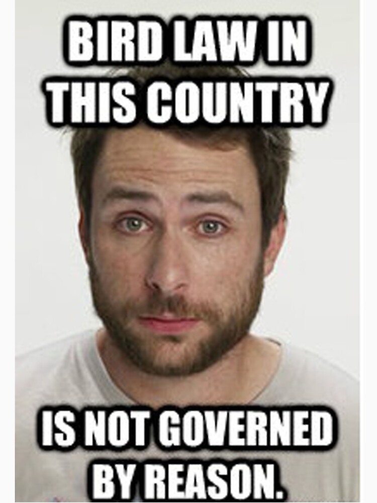 My FFL tried to talk me out of an AR build? : r/ar15