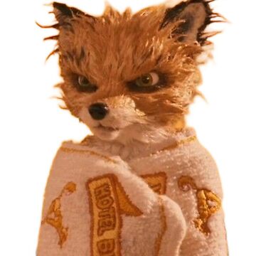 "Angry fox" Sticker for Sale by Collage-cake | Redbubble