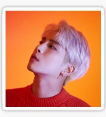 Shinee Stickers | Redbubble