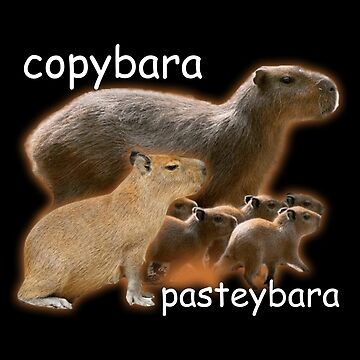 "Copybara Pasteybara Capybara Meme" Classic T-Shirt for Sale by ...