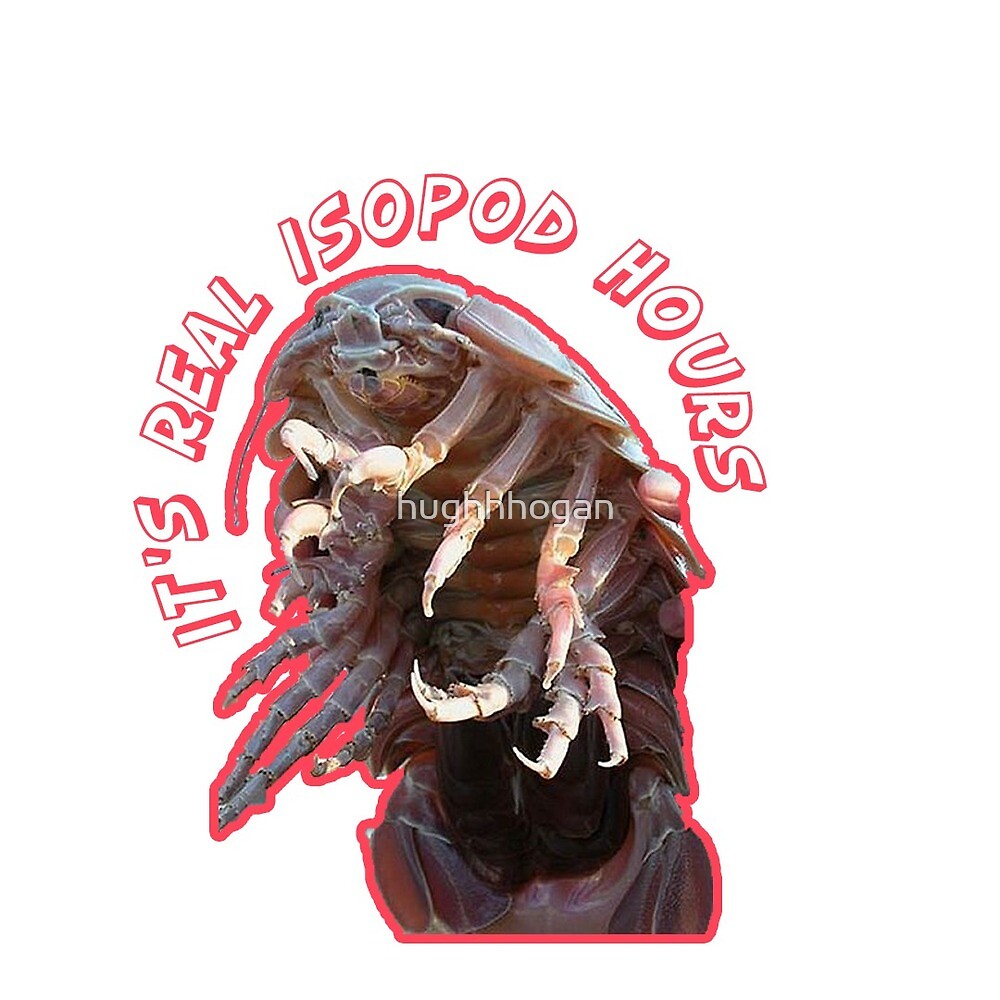 "It's Real ISOPOD Hours Meme" by hughhhogan | Redbubble