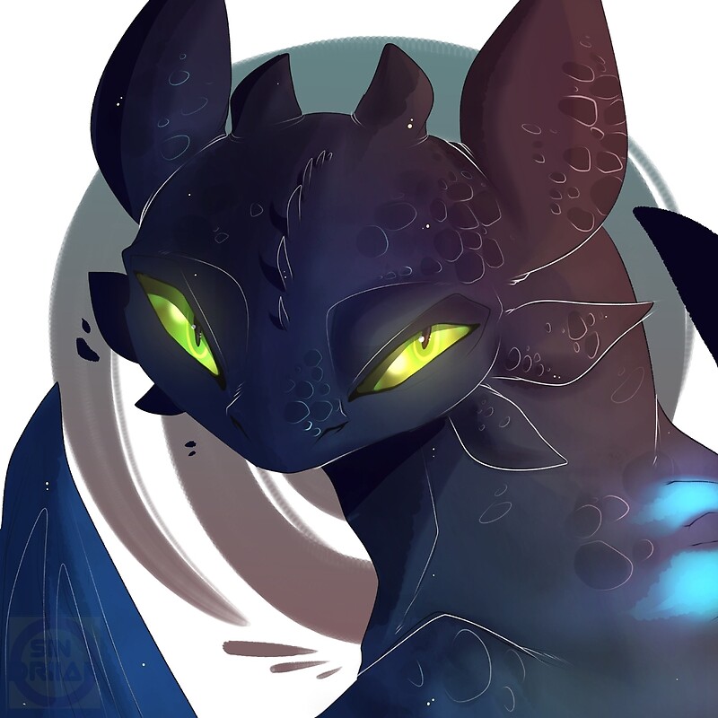 "Toothless" by Sindriian | Redbubble