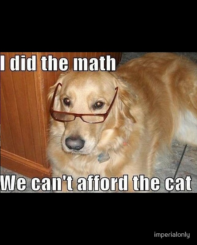 "dog doing math meme" by imperialonly | Redbubble