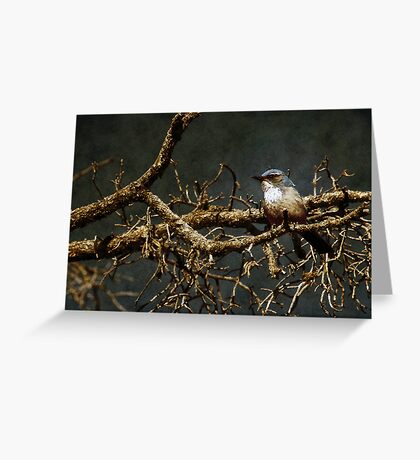 Postcards | Redbubble