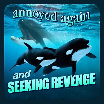 "Orca attack - annoyed again and seeking revenge word art" Sticker for ...