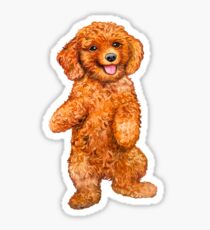 Poodle Stickers | Redbubble