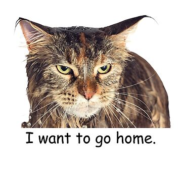 "I want to go home funny cat meme" Sticker for Sale by NateCF | Redbubble