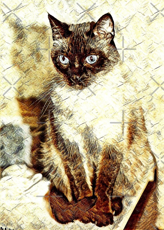 "Siamese Tonkinese Cat" by krchmar | Redbubble