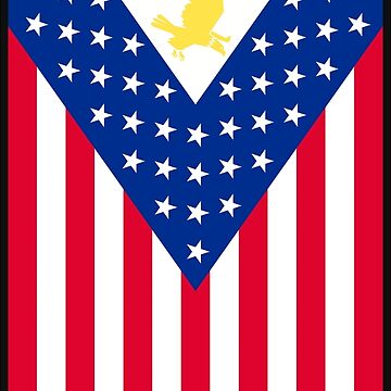 "New USA Flag Concept " Sticker for Sale by 7ldo | Redbubble