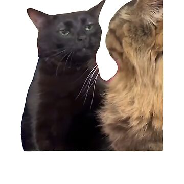 "Black Cat zoning out " Sticker for Sale by DesignSeed Store | Redbubble