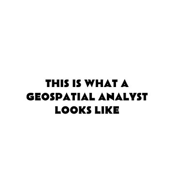 "Geospatial Data Analyst Funny" Sticker for Sale by DisceteDesigns ...