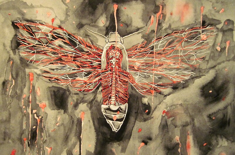 "Anatomical Death's Head Hawk Moth" by RaLiz | Redbubble