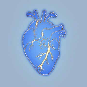 "Anatomical heart in blue" Stickerundefined by HappysParadise | Redbubble