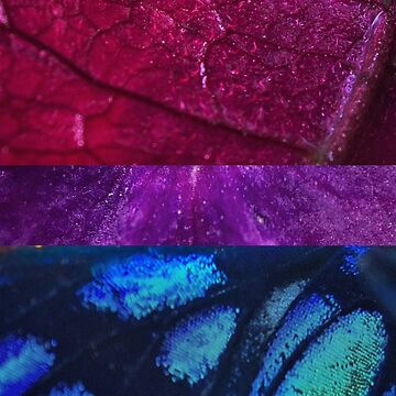 "Bi pride flag natural patterns - a bi pride flag made from natures ...