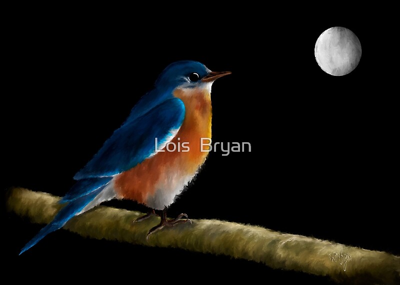 "Spellbound By The Light Of The Moon" by Lois Bryan | Redbubble
