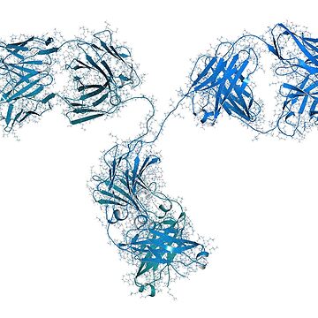 "Monoclonal antibody IgG2a molecule, illustration (F019/2179)" Sticker ...