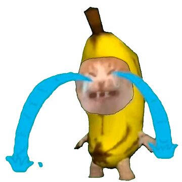 "banana cat crying meme" Sticker for Sale by Shrewd Mood | Redbubble