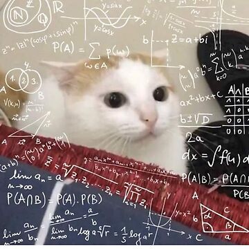 "Cat maths" Sticker for Sale by Alijna22 | Redbubble