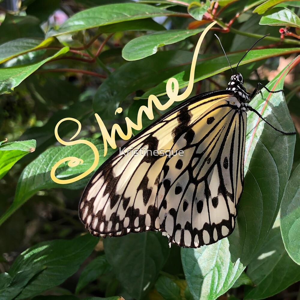"Shine butterfly" by Kristinesque | Redbubble