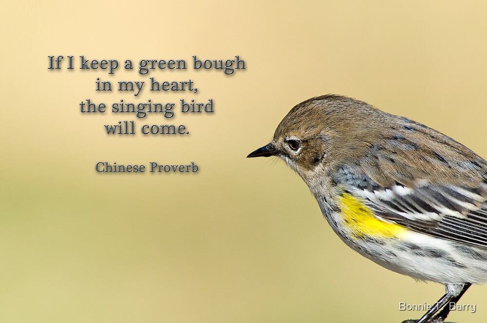 "Green bough in my heart . . ." by Bonnie T. Barry | Redbubble