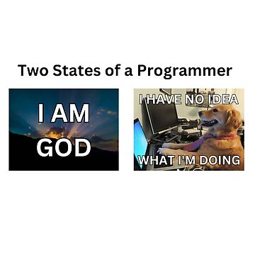 "Programmer life explained" Sticker for Sale by BleuBlue | Redbubble