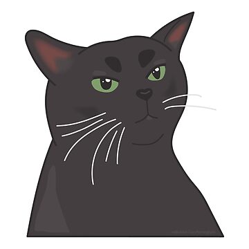 "Black Cat Zoning Out" Sticker for Sale by CozyMorningbyAn | Redbubble
