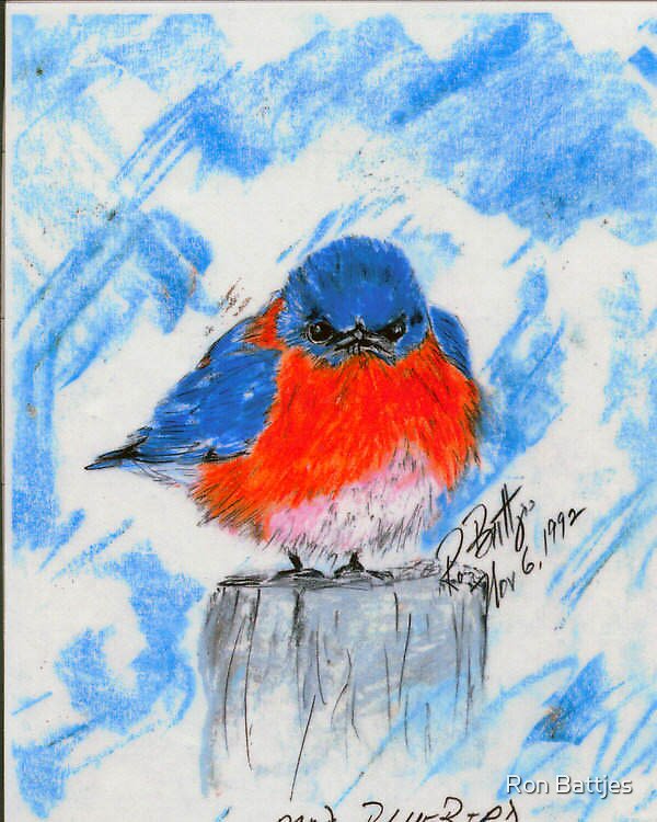 "Mad Bluebird" by Ron Battjes | Redbubble