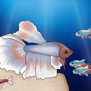 "Betta fish and neon tetras - lined" Sticker for Sale by CordieDittus ...