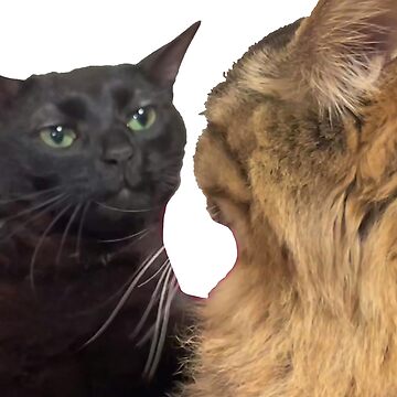 "Zoned-Out Cat" Sticker for Sale by marvil-co | Redbubble