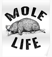 Funny Mole Animal Posters | Redbubble