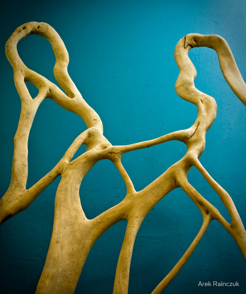 "Root Art" by Arek Rainczuk | Redbubble