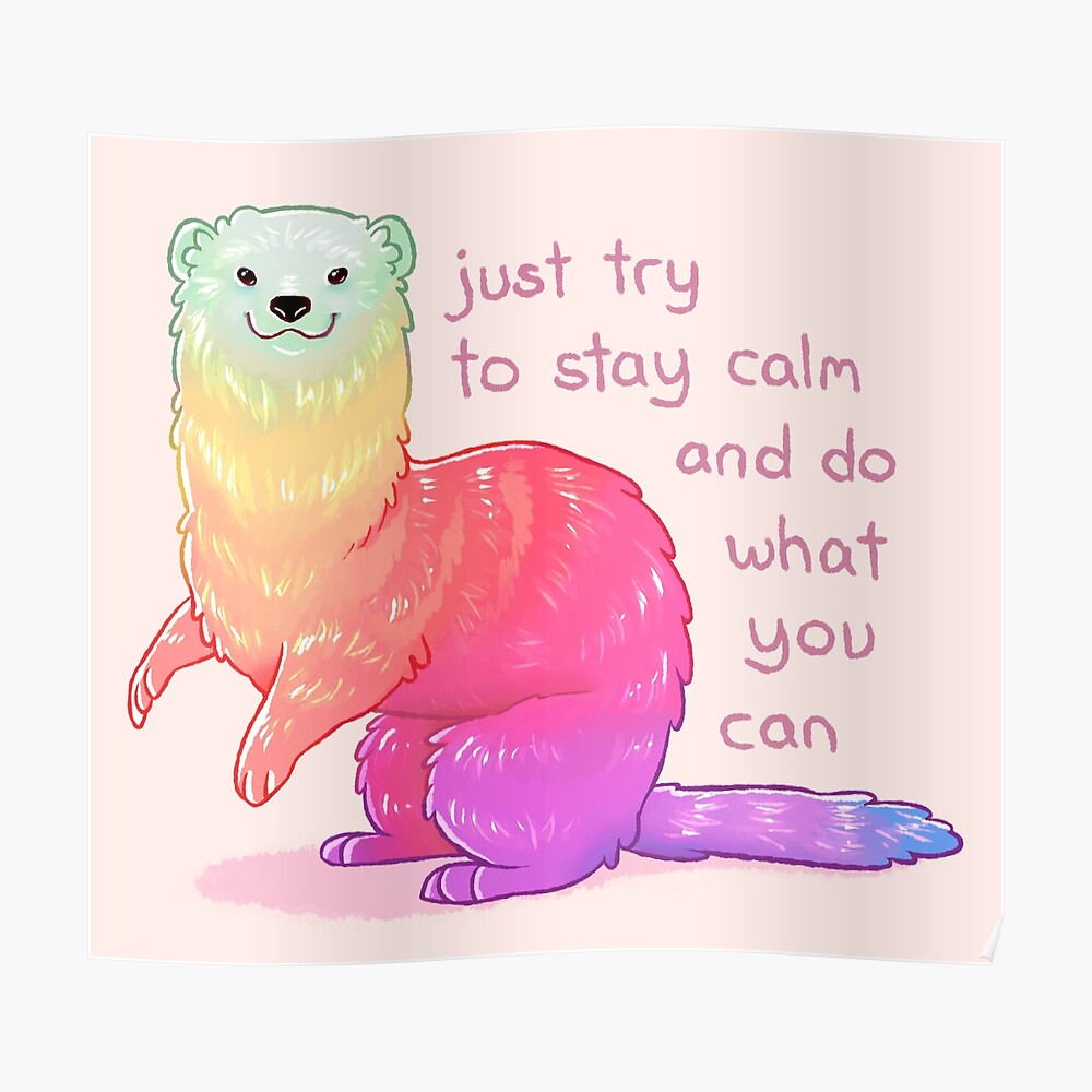 Just Try To Stay Calm Rainbow Ferret Poster By Thelatestkate Redbubble