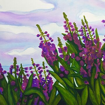 "Alaskan Fireweed" Sticker for Sale by lmcarruth | Redbubble