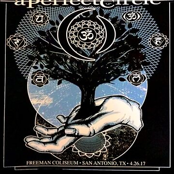 "best a perfect circle" Poster for Sale by GoldenZieme | Redbubble