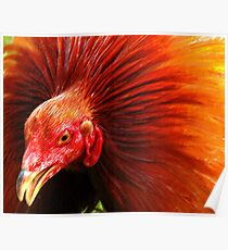 Gamefowl: Gifts & Merchandise | Redbubble