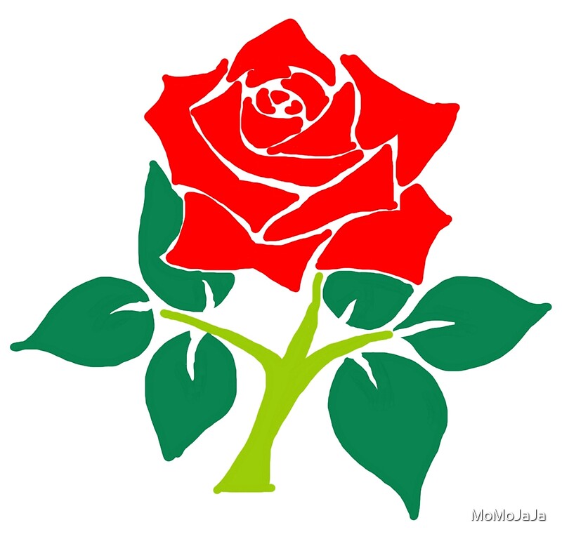 "England Cricket Rose" by MoMoJaJa | Redbubble