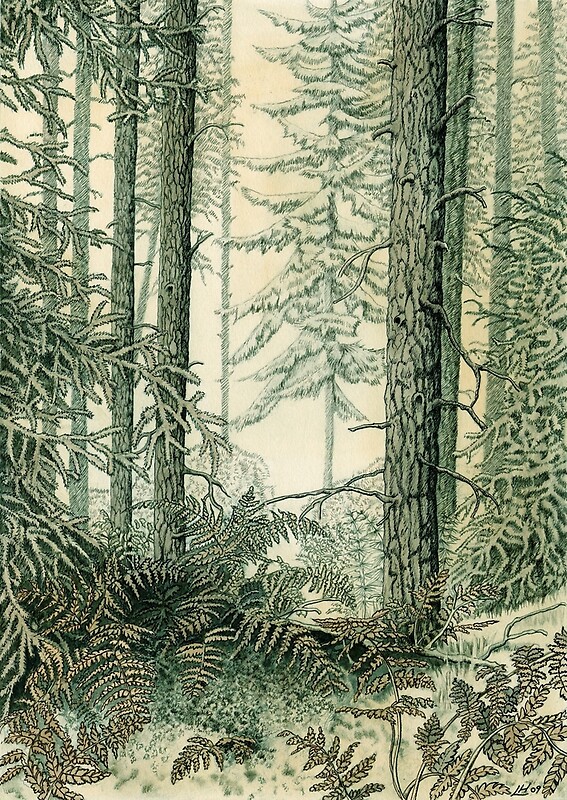"Sepia Forest (pencil, ink and wash on paper)" by Lynne Henderson ...