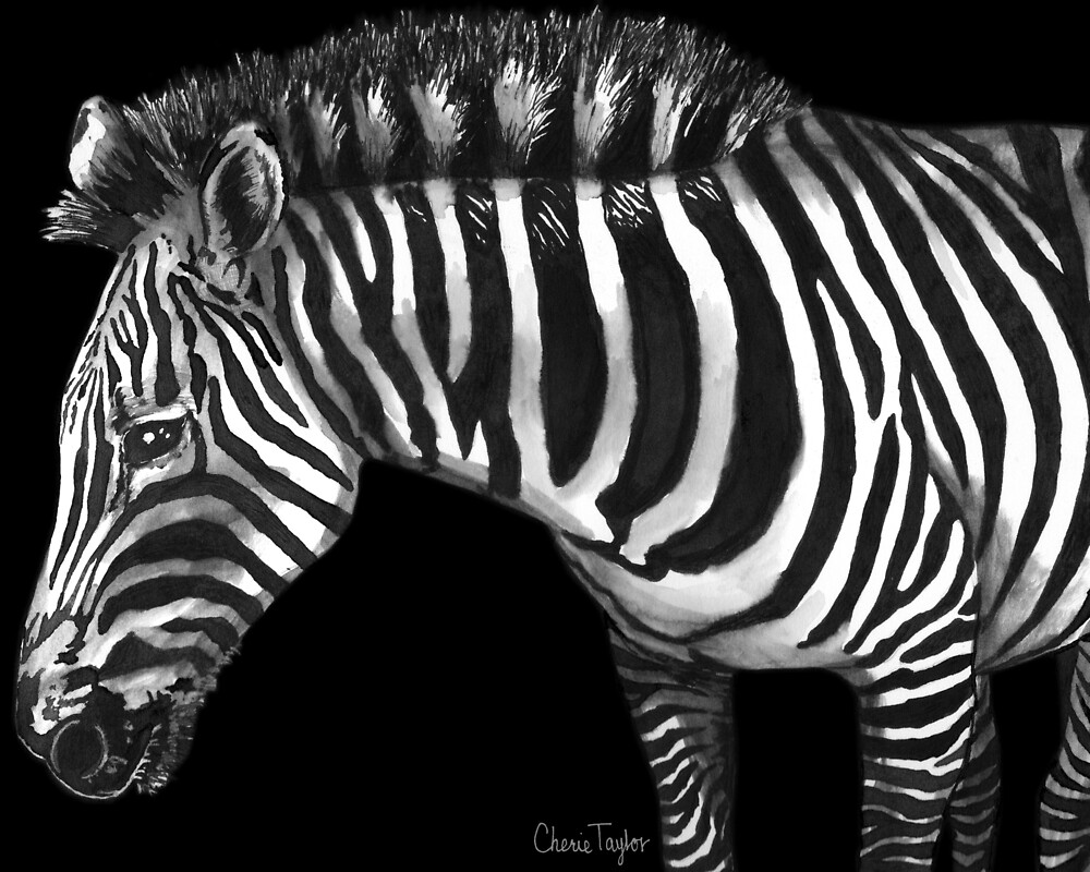 "Zebra Print" by Cherie Taylor | Redbubble