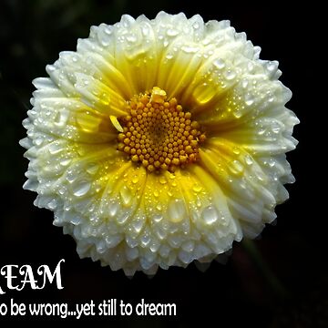 "Raindrop Flower - motivational motto - Dream" Sticker for Sale by ...