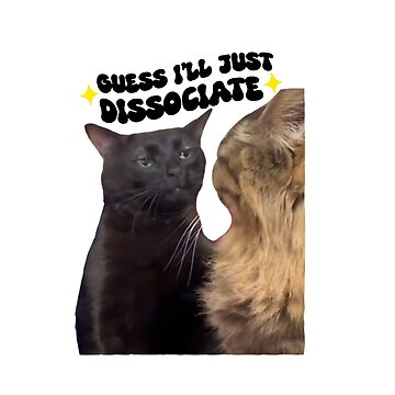 "Zoned Out Cat, Dissociating, Black cat zoned out, Zoned Out Cat meme ...