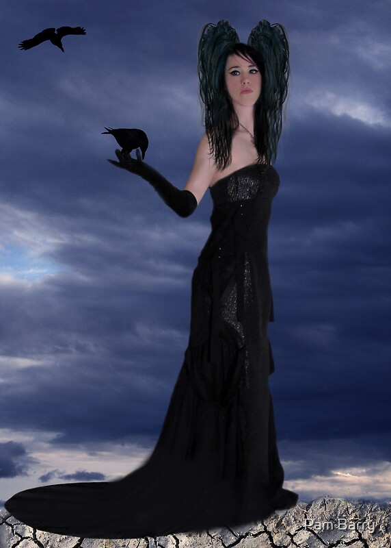 "Lady Raven" by Pam Barry | Redbubble